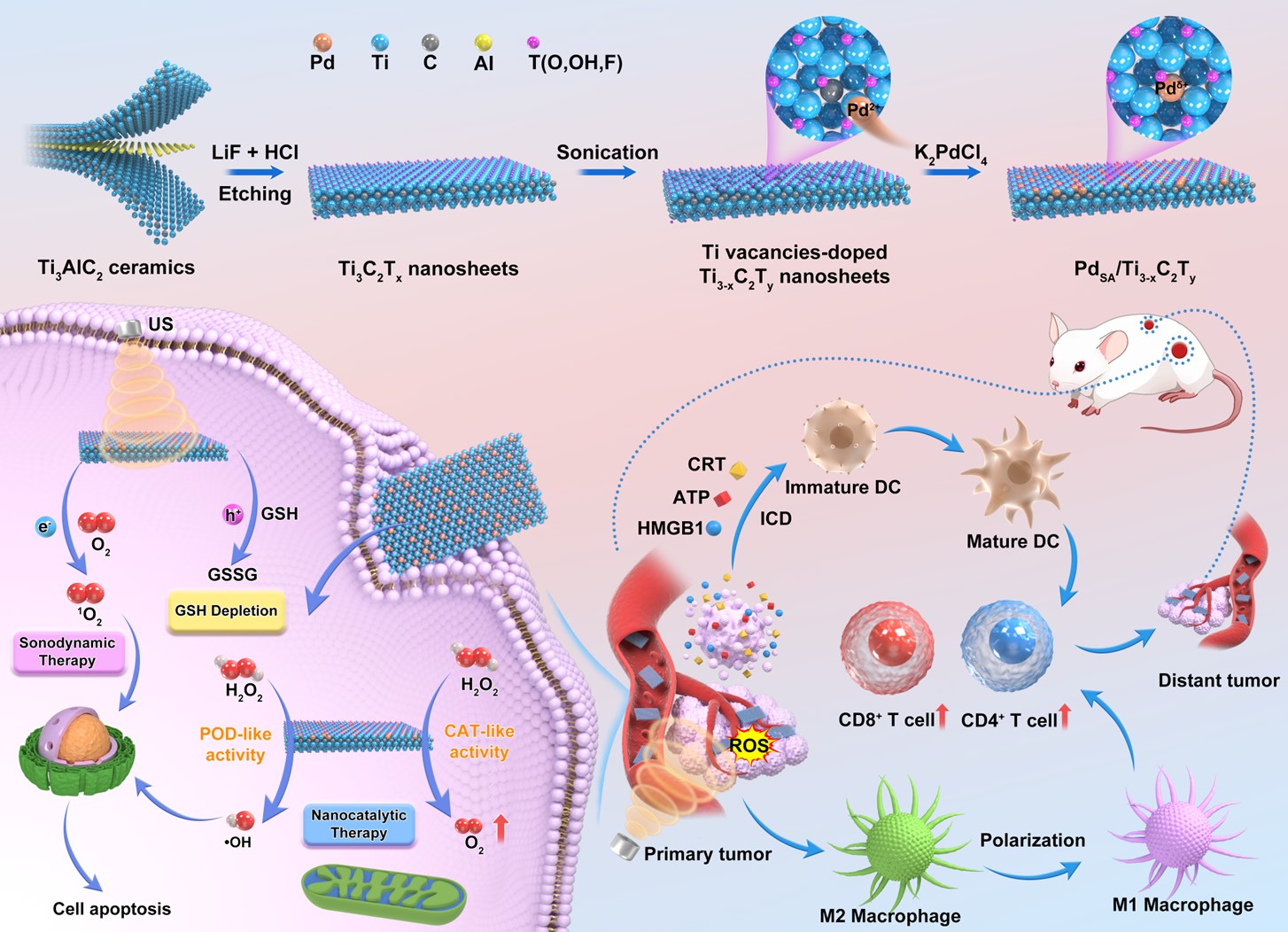 青年教师耿弼江在《Advanced Materials》上发表最新研究成果-上海大学环境与化学工程学院